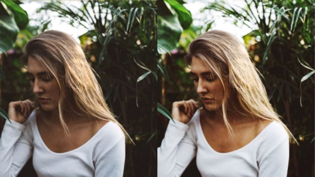 Difference between Brightness and Exposure in photo editing - LightX App