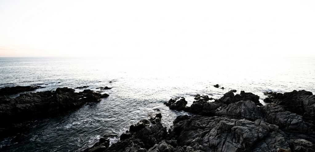 How to Fix Overexposed Photos: Existing or New! | LightX